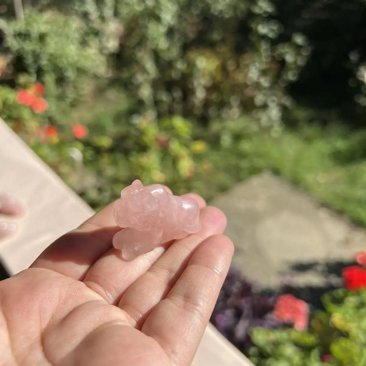 Leu cuart roz gravat manual, 37mm - pe STONEMANIA.RO