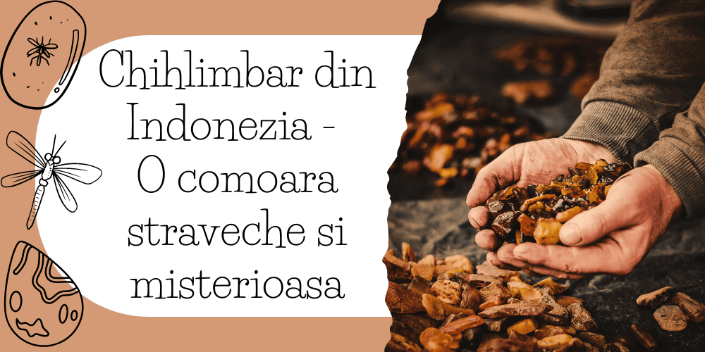 Chihlimbar din Indonezia - O comoara straveche si misterioasa