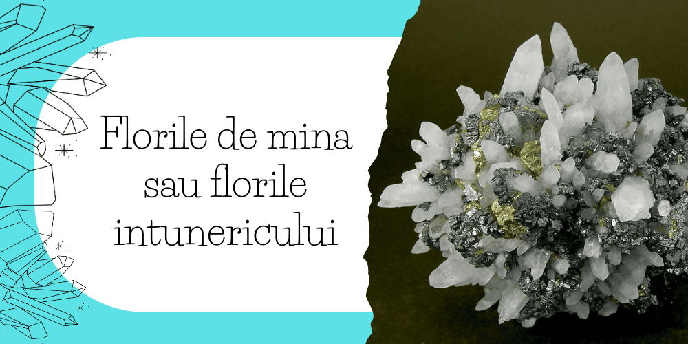 Florile de mina sau florile intunericului