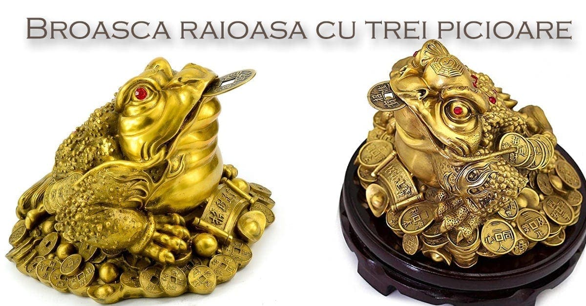 Broasca raioasa cu trei picioare