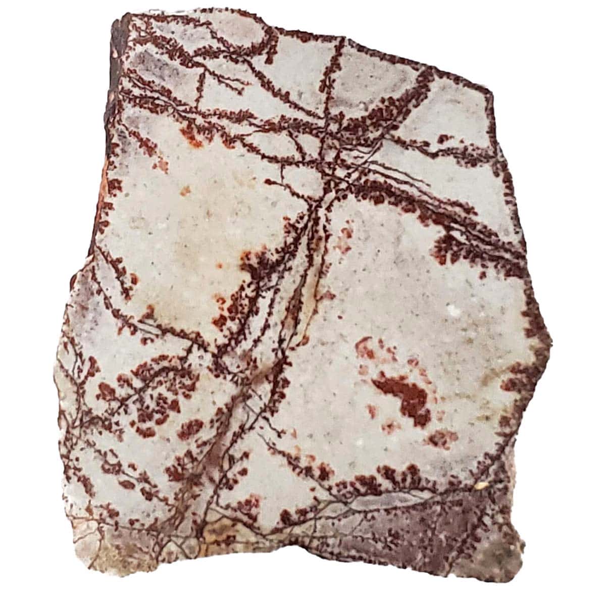 Sonora Dendritic - Buy jewelry and natural crystals with guarantee